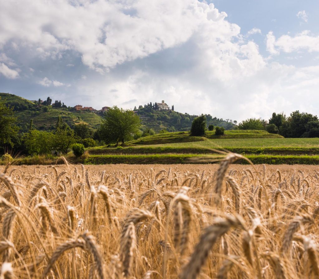 Il gruppo Pastai | Pastai – Pasta Fresca